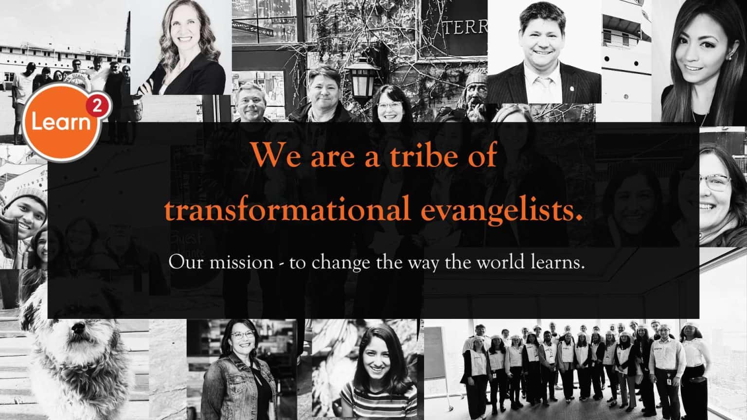 Leadership and Team Development - Learn2